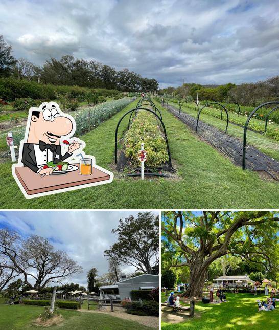 The Scenic Rim Farm Shop in Kalbar