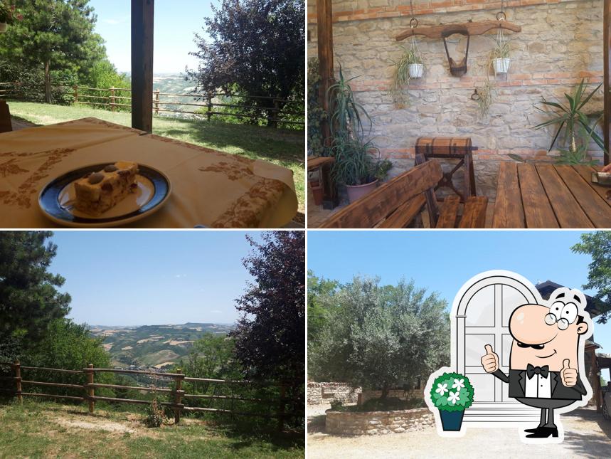 Agriturismo Podere Bellaria, Cusercoli - Menu del ristorante, prezzi e ...