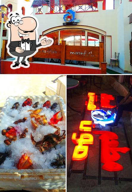 Moonfish Seefood Restaurant, Égypte - Restaurant reviews