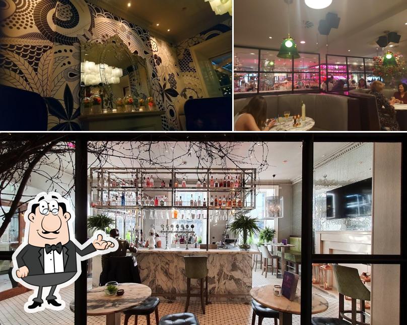Tigerlily, Edinburgh - Restaurant menu, prices and reviews