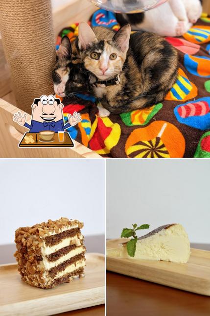 ASOK PETHOUSE CAT CAFE, Bangkok - Restaurant menu and reviews