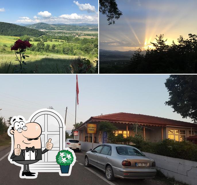 Koca meşe çay bahçesi, Turkey - Restaurant reviews