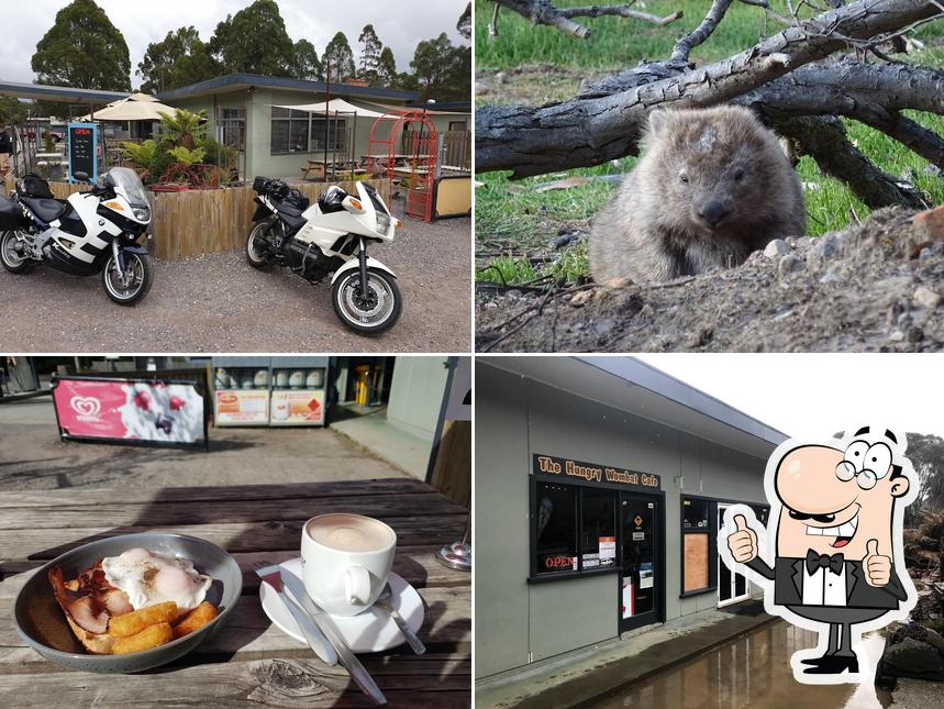 Hungry Wombat Cafe in Derwent Bridge - Restaurant menu and reviews