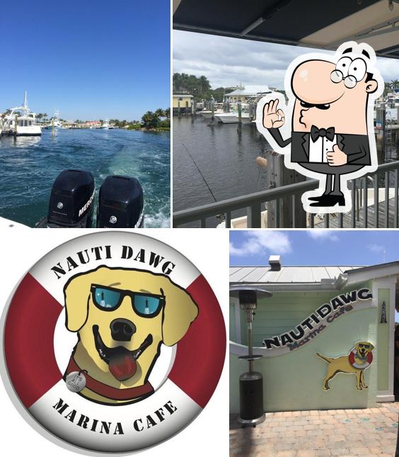 The Nauti Dawg Marina Cafe, Lighthouse Point - Restaurant menu, prices ...
