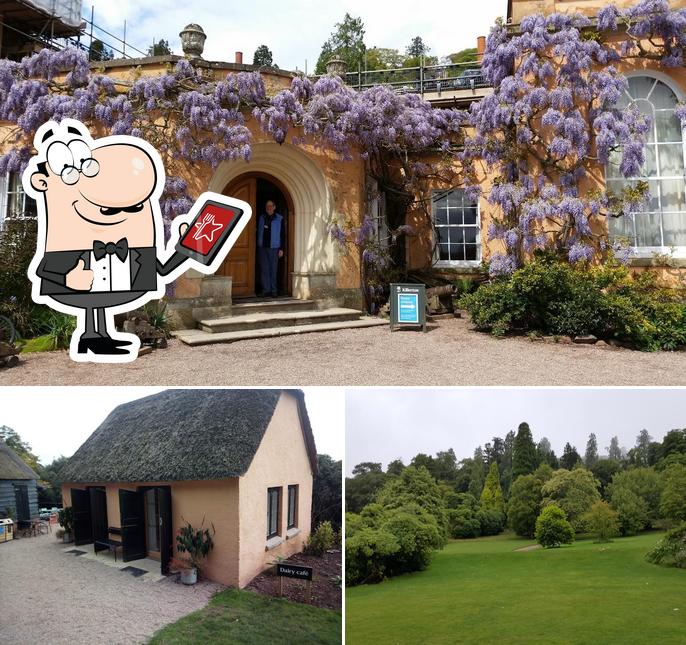Killerton House Dairy Café, Exeter - Restaurant menu, prices and reviews