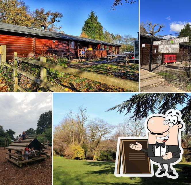 Cafe In The Orchard in Radlett - Restaurant menu and reviews