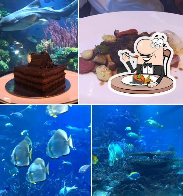Al Mahara - Burj Al Arab restaurant, Dubai - Restaurant reviews
