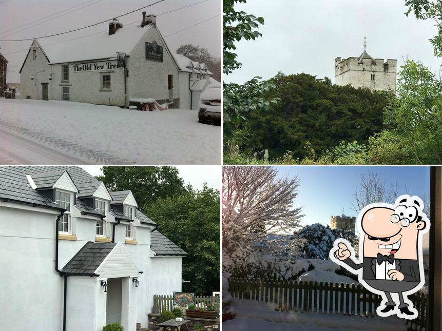 The Old Yew Tree in Defynnog - Restaurant reviews
