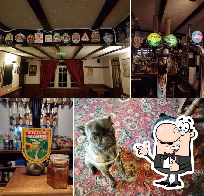 The Maypole Inn, Yapton - Restaurant menu, prices and reviews