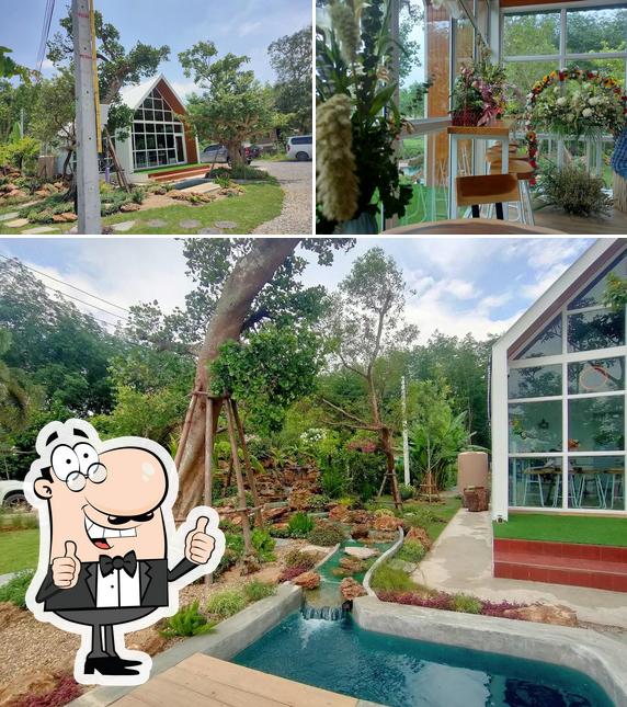 The Forest Cafe Rayong, Bang But - Restaurant menu, prices and reviews