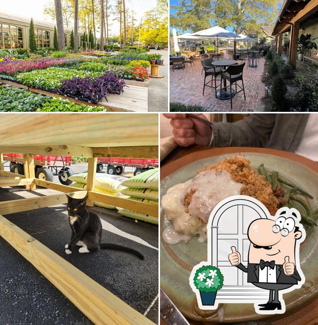 Botanic, Opelika - Restaurant menu, prices and reviews
