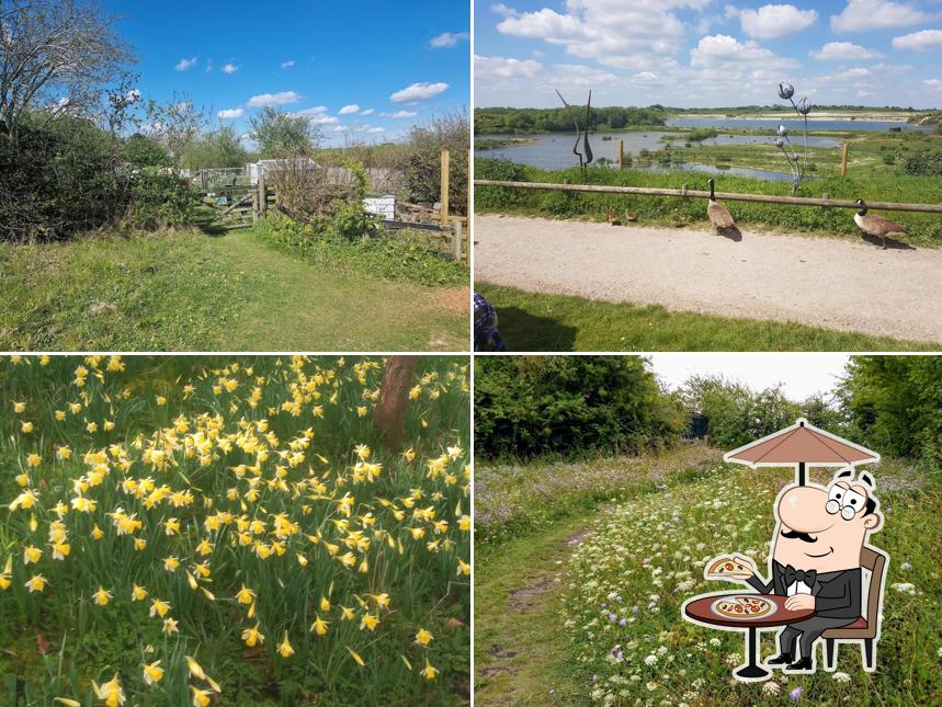 College Lake Nature Reserve, Tring - Restaurant menu, prices and reviews