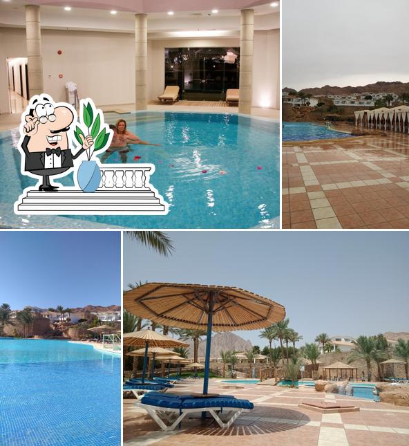 Ecotel Dahab restaurant, Dahab - Restaurant reviews