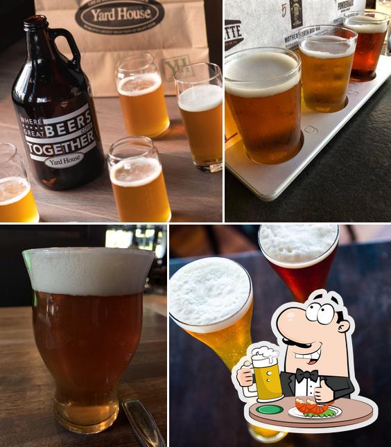 Yard House, Meridian - Restaurant menu, prices and reviews