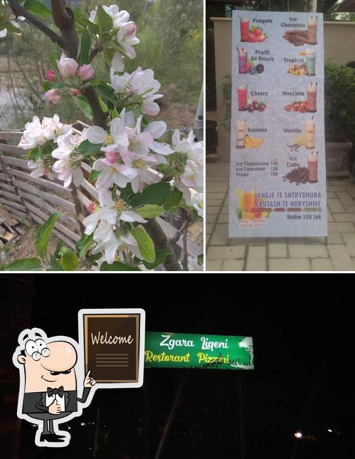 Bar Restorant Pizzeria Liqeni, Tirana, Rruga Hamdi Sina 1044 ...