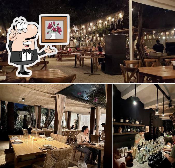 Criollo, Oaxaca - Menú del restaurante, precios y reseñas