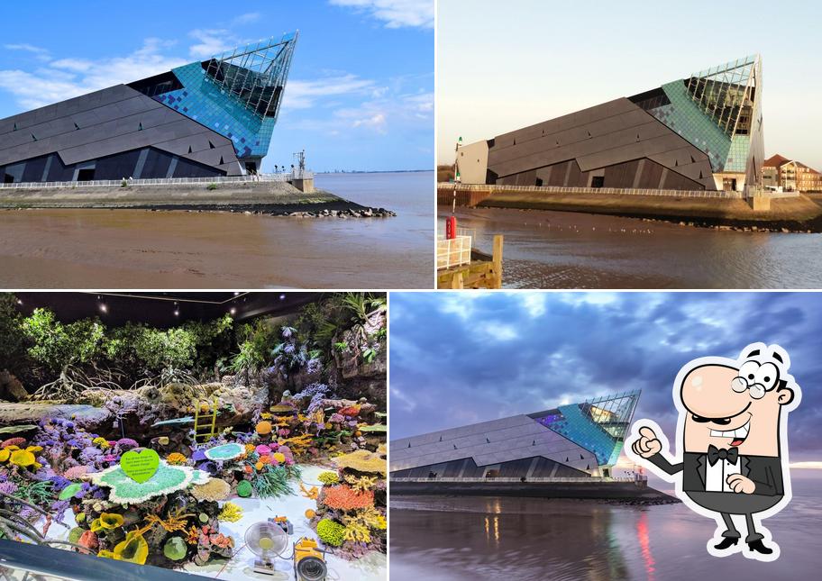 The Deep, Hull - Restaurant menu, prices and reviews
