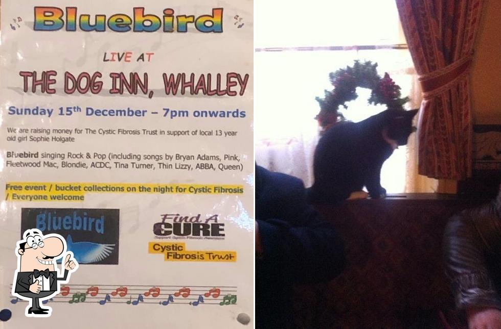 The Dog Inn, Whalley, Barrow - Restaurant menu, prices and reviews