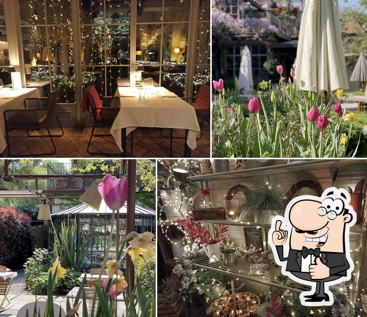 al fresco ristorante, Milano, Via Savona - Menu e recensioni del ristorante