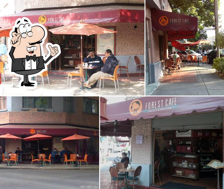 Forest Cafe, Mexico City - Restaurant reviews