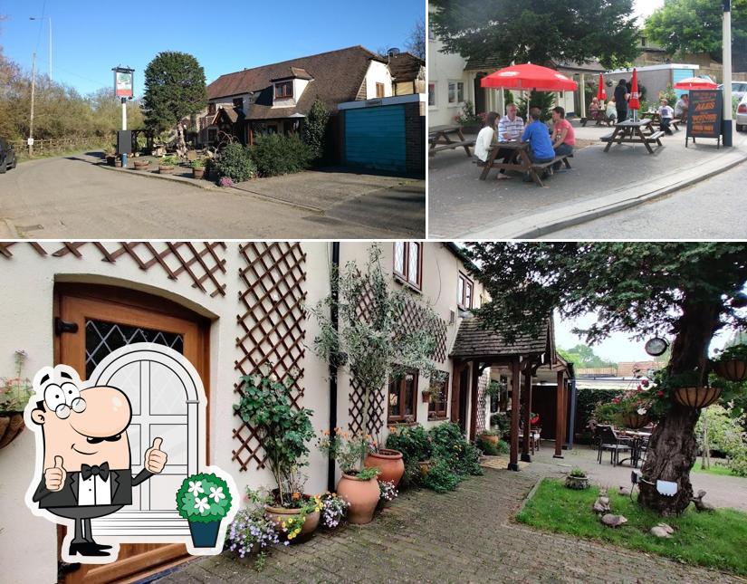 The Yew Tree, Kent, Maidstone - Restaurant menu, prices and reviews