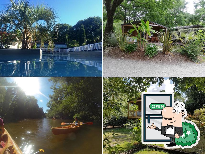 Restaurant Camping le Marache, Biganos - Critiques de restaurant