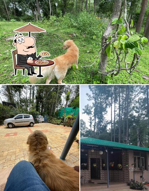 Top 7 restaurants in Yercaud, september 2025 - Restaurant Guru