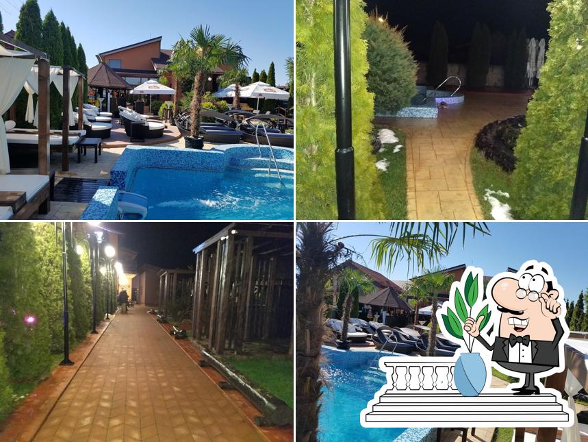 All places to eat and drink in Cârcea, summer 2024 - Restaurant Guru