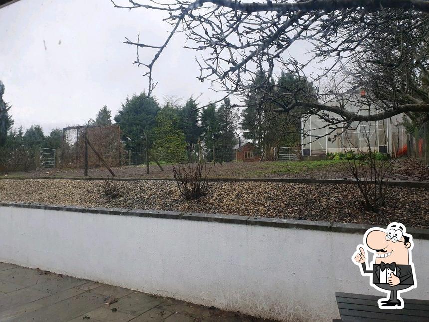 Hafod Bakery in Laugharne - Restaurant reviews