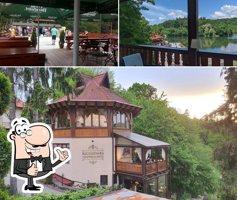 Ciuperca Mică, Sovata - Restaurant menu and reviews