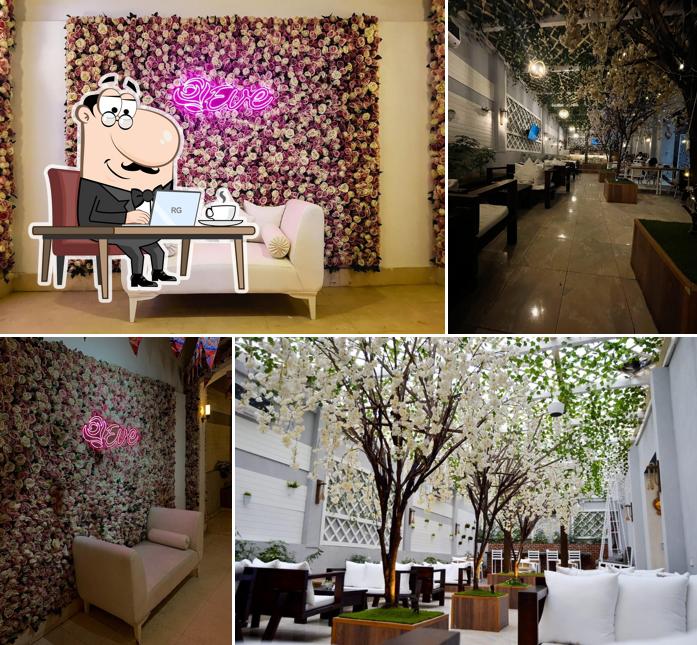 Eve Café and Restaurant, Sheikh Zayed City - Restaurant menu and reviews