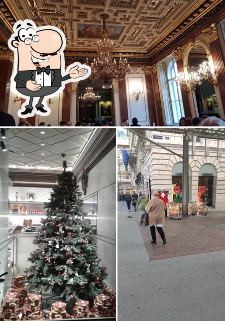 Palais Todesco restaurant, Wien - Restaurantbewertungen