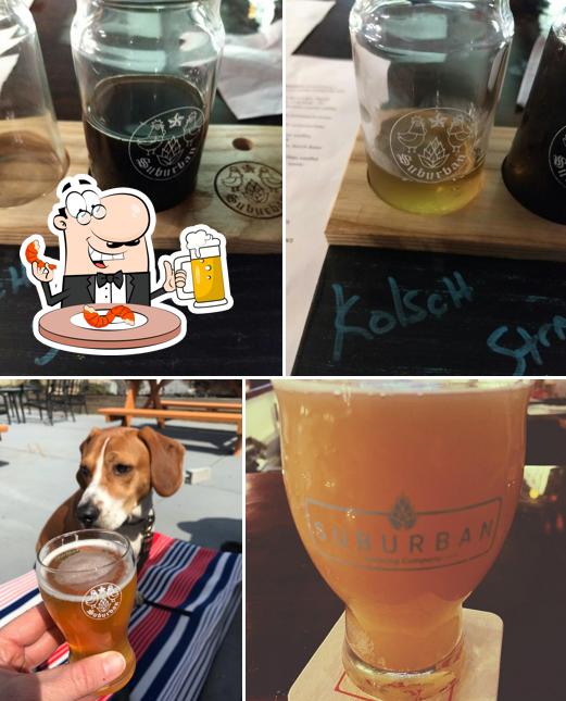 Suburban Brewing Co. in Honey Brook - Restaurant reviews