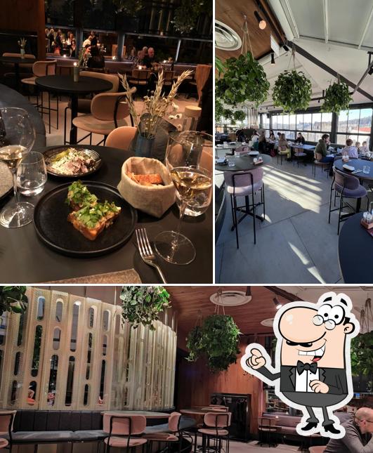 SOLID Wine Restaurant, Budapest - Restaurant menu and reviews