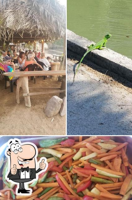 Crocodile Bar and Cabañas, Mexico - Restaurant reviews