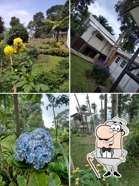 Meloh Cafe & Tent, Lembang - Restaurant reviews