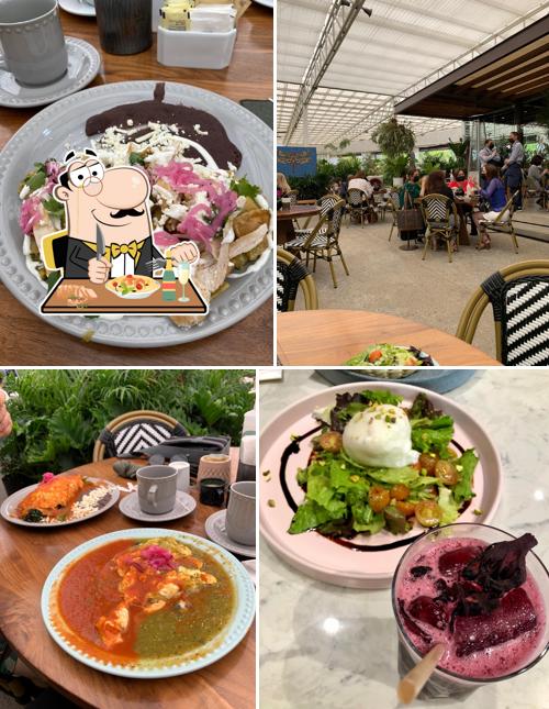 EDÉN FLOR Y CAFÉ, Monterrey - Menú del restaurante, precios y reseñas