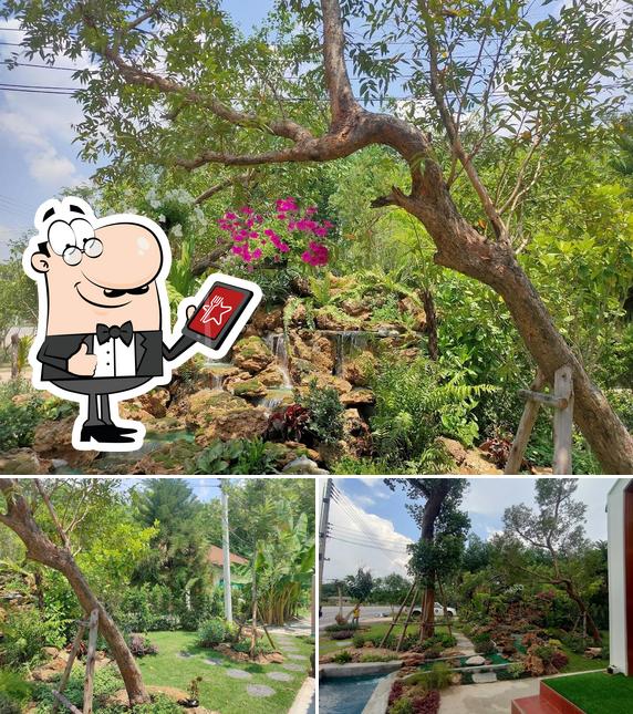 The Forest Cafe Rayong, Bang But - Restaurant menu, prices and reviews