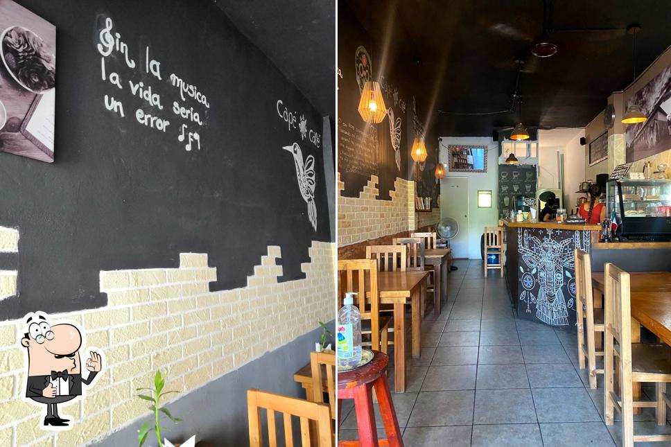 Capé Café, Playa del Carmen, Blvd. de Las Americas lote 008-mz 1 local ...