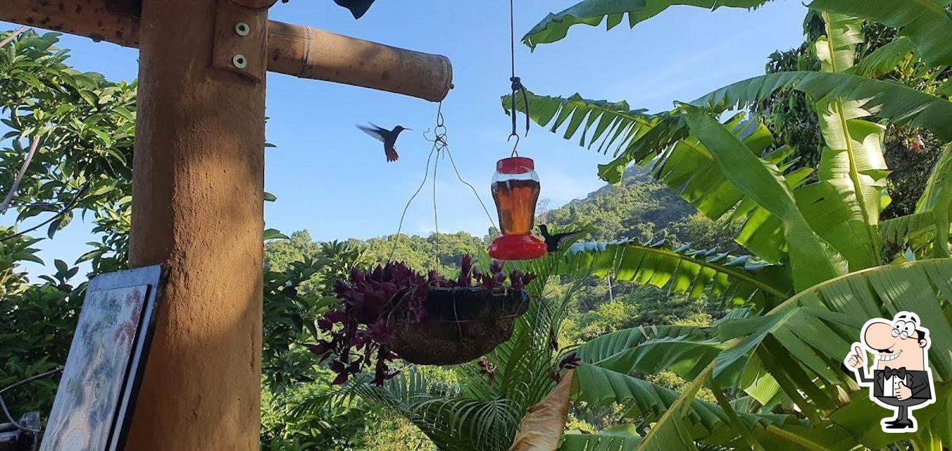 El Turpial, Minca - Restaurant reviews
