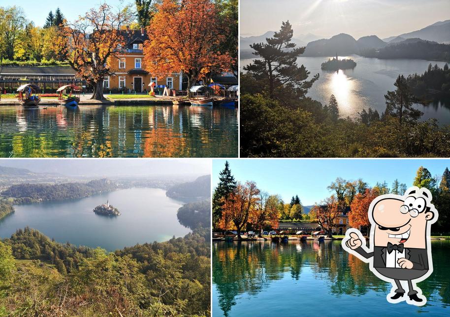 Penzion Mlino restaurant, Bled - Restaurant menu and reviews