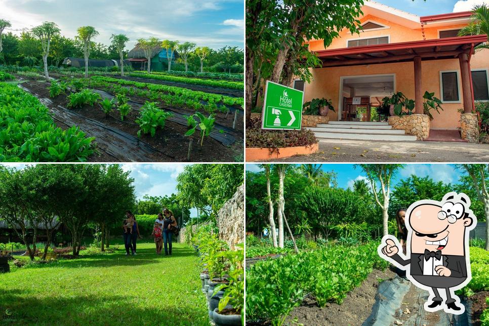 Hotel Caserma - La Romana Bayahibe restaurant, Dominicana - Restaurant ...