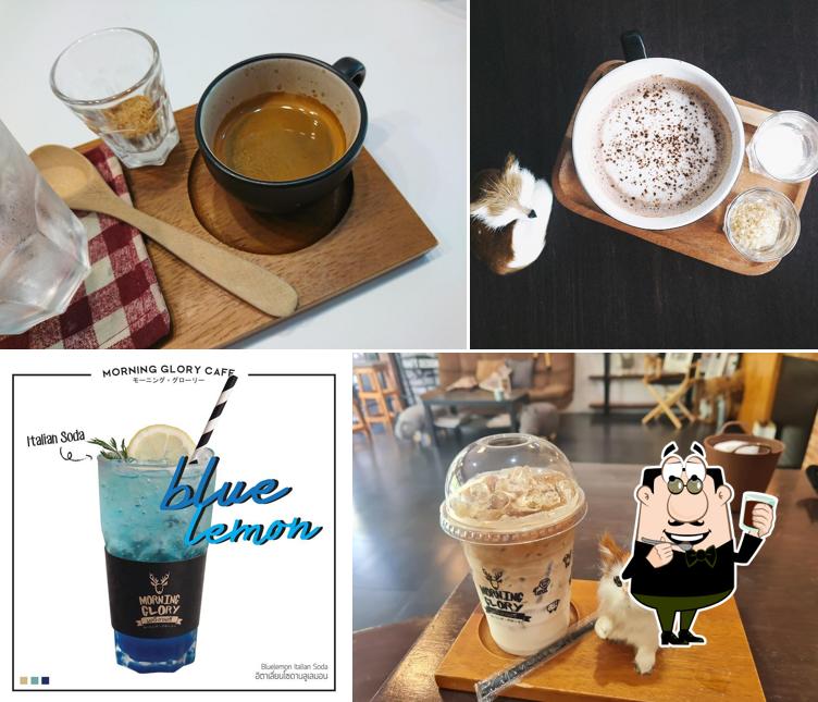 Morning Glory Cafe, Si Racha - Opiniones del restaurante