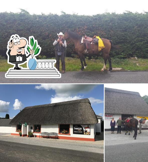 The Thatch Bar in Adare - Restaurant reviews