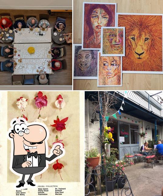 Fuchsia in Tenby - Restaurant reviews