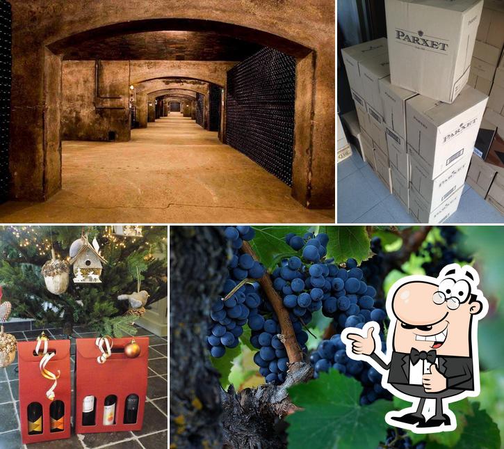 cava+, Evergem