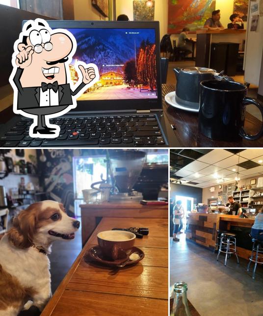 Once Over Coffee Bar, Austin - Restaurant menu, prices and reviews