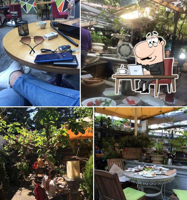 Antika Cafe, Istanbul, Ambarlıdere Yolu - Restaurant menu and reviews