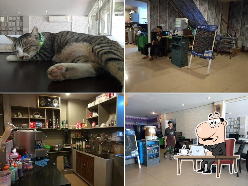 Rak Cafe, Hat Chao Samran - Restaurant reviews