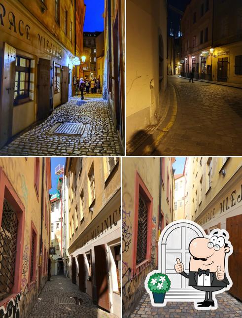 Restaurace Mlejnice, Prague, Můstek - Restaurant menu, prices and reviews